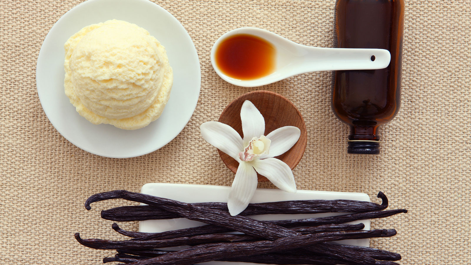 Qủa Vani Khô Thượng Hạng (23cm) Gói 5g – Vanilla Beans - HavaMall ...